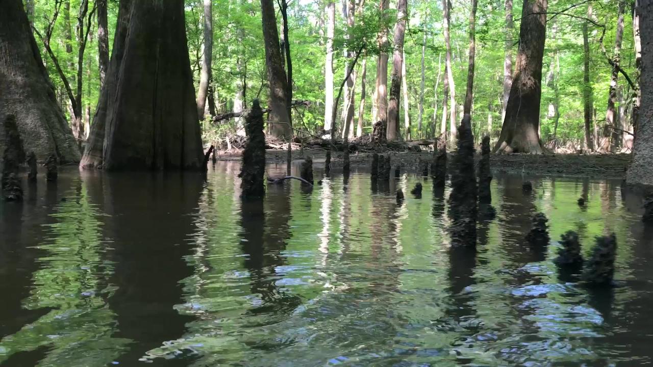 EARTH DAY BY NASA IN HD - One News Page VIDEO