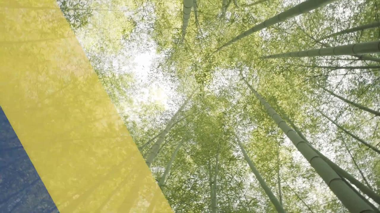 Where Does Space Begin? We Asked a NASA Expert - One News Page VIDEO