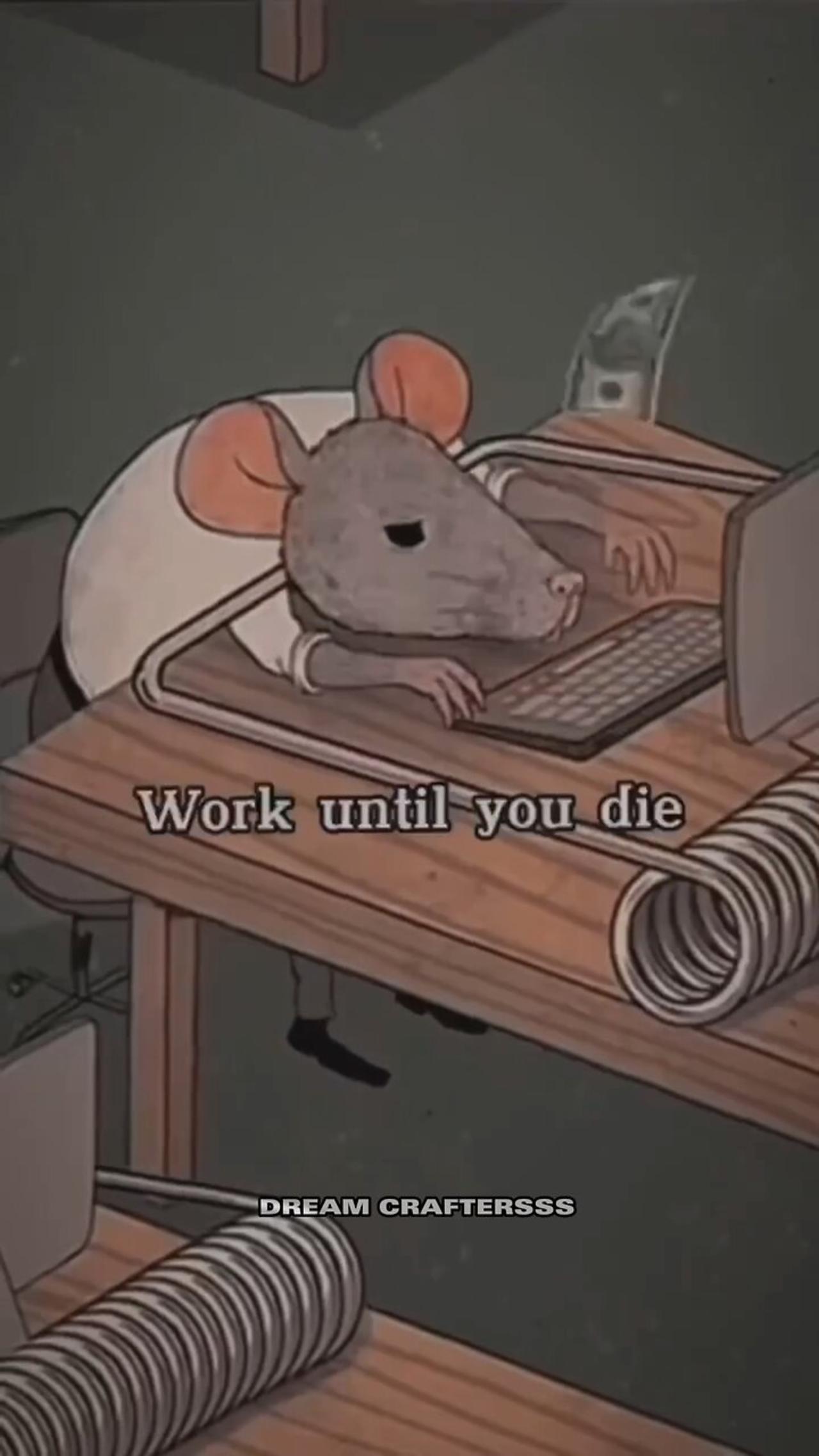 LIFE MATRIX EXPLAINED😈 - One News Page VIDEO