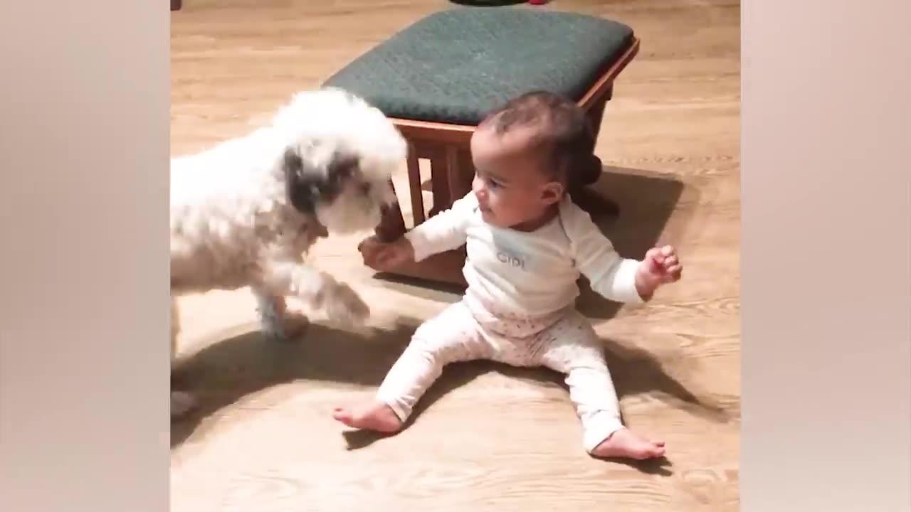 Best video of Cute Babies and Pets - Funny Baby - One News Page VIDEO