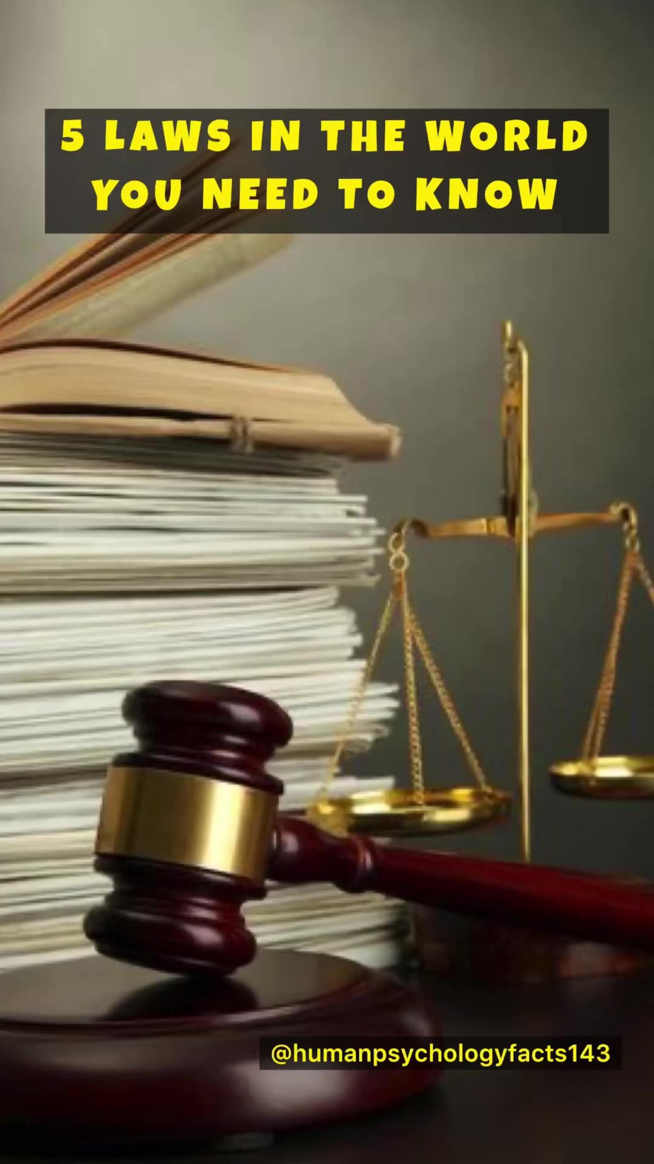 THE 5 MOST FAMOUS LAWS IN THE WORLD YOU NEED TO - One News Page VIDEO