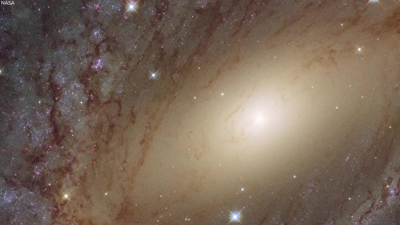 27 Facts That Will Make You Question Your - One News Page VIDEO