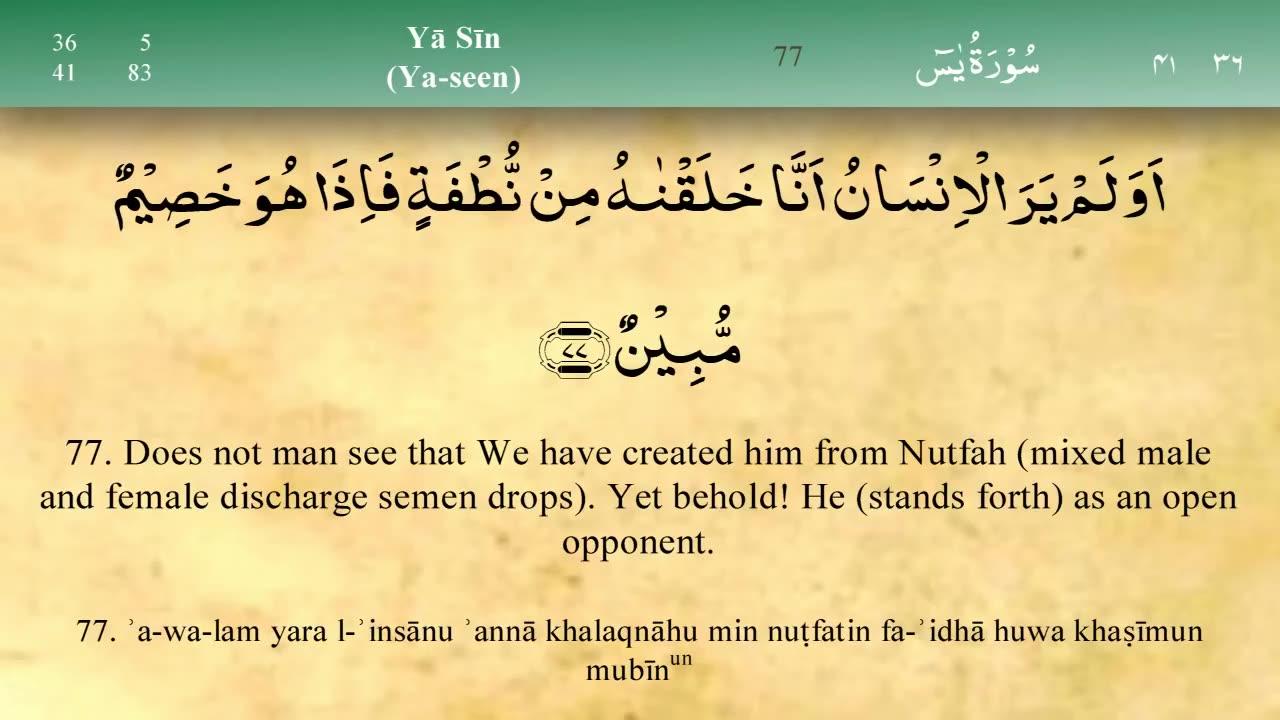 036 Surah Ya Seen by Mishary Al Afasy - One News Page VIDEO