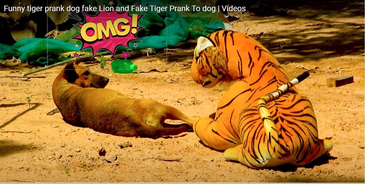 Funny tiger prank dog fake Lion and Fake Tiger - One News Page VIDEO