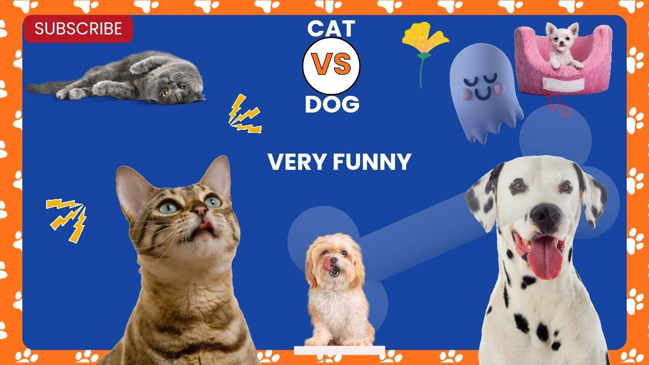 Best Fanny Animals of wpwe# funniest dogs and - One News Page VIDEO