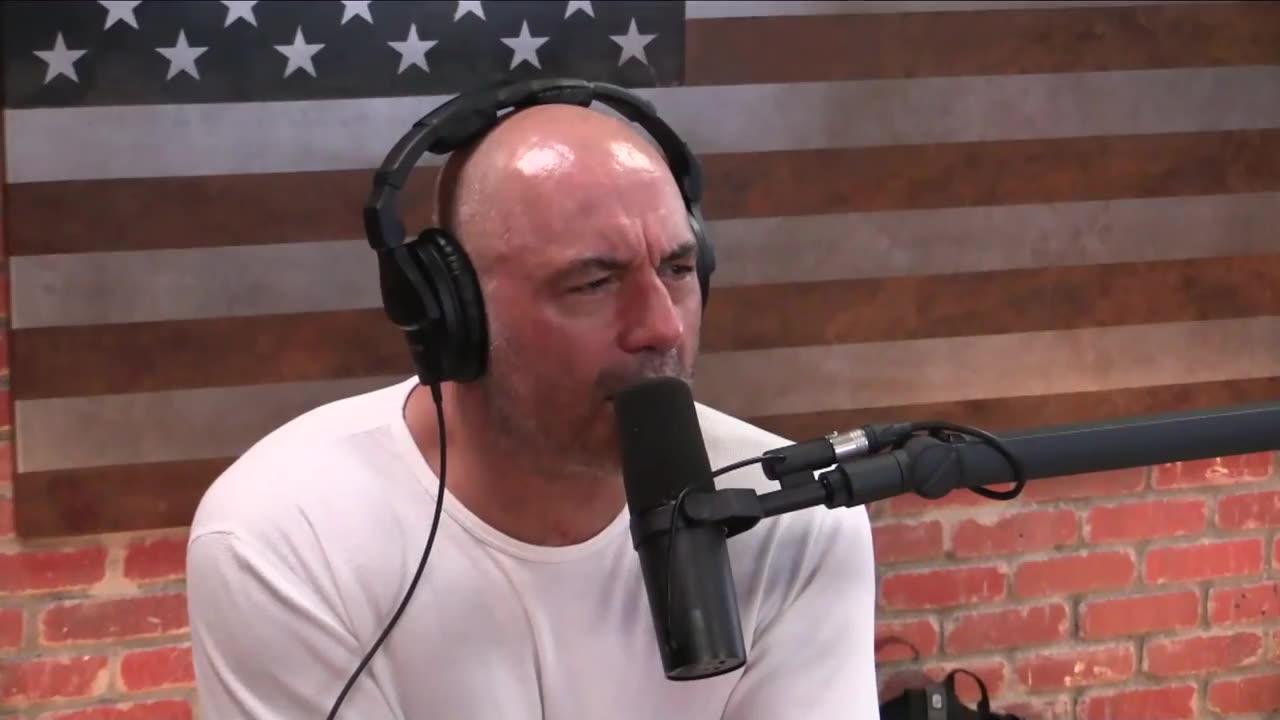 Joe Rogan on the Whale Returning a Woman's - One News Page VIDEO