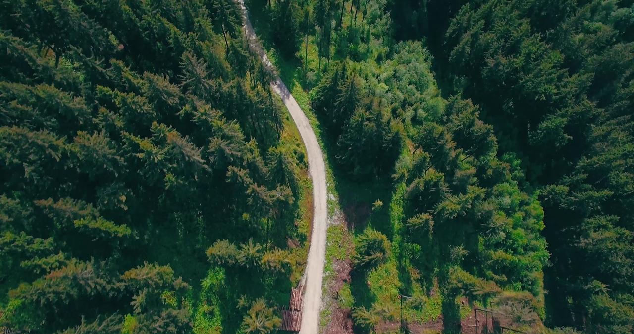 Ariel View - One News Page VIDEO