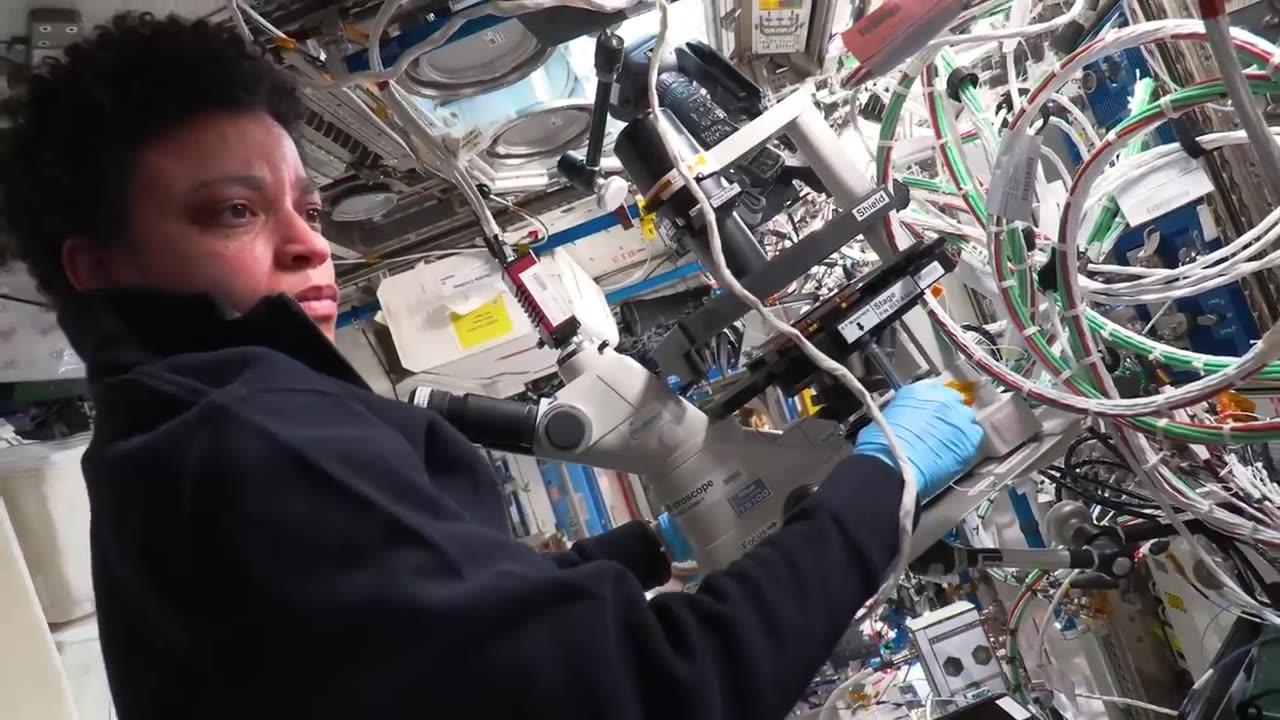 Nasa SpaceX Crew -7 mission to the space station - One News Page VIDEO