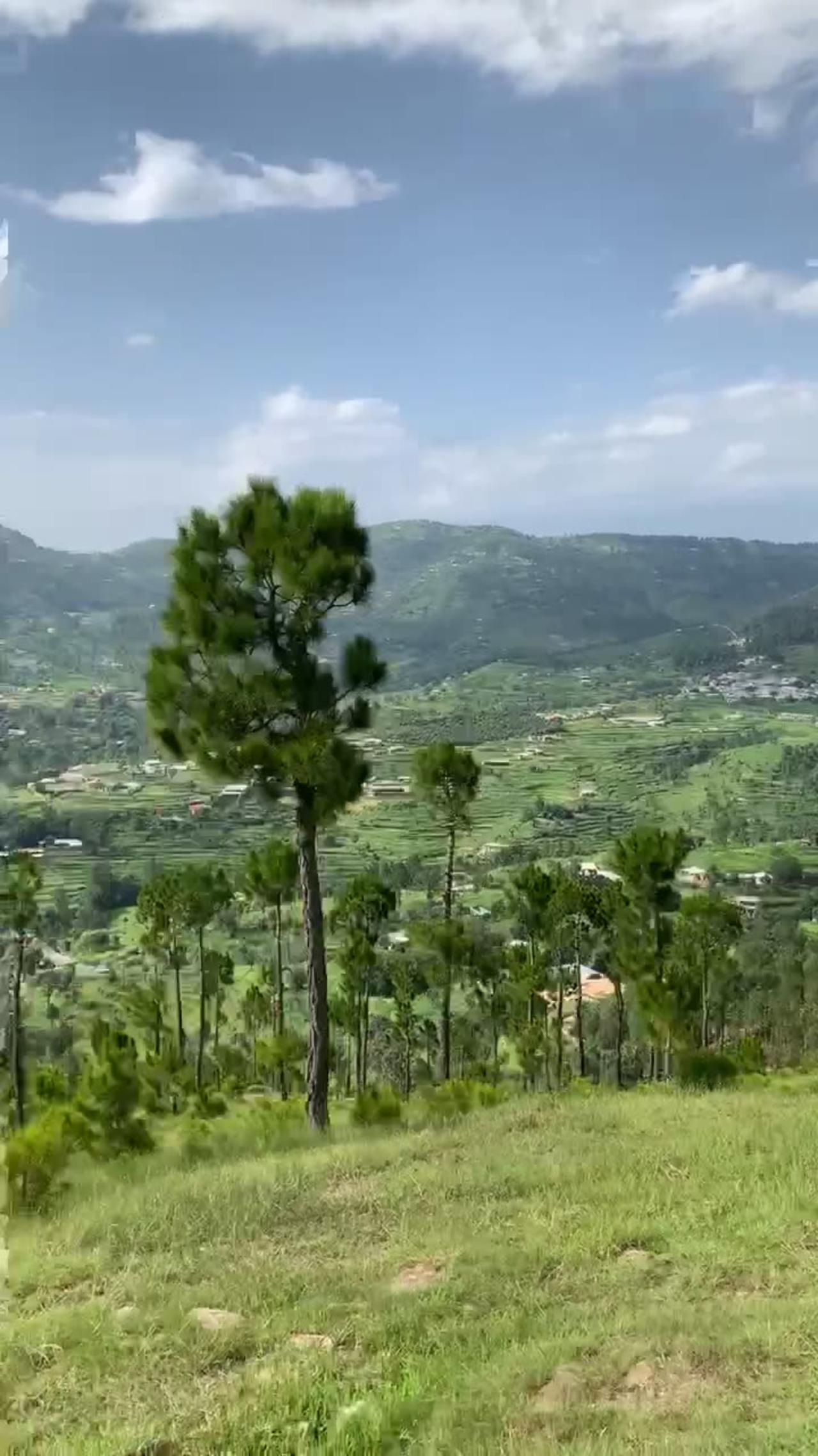 Mansehra - One News Page VIDEO