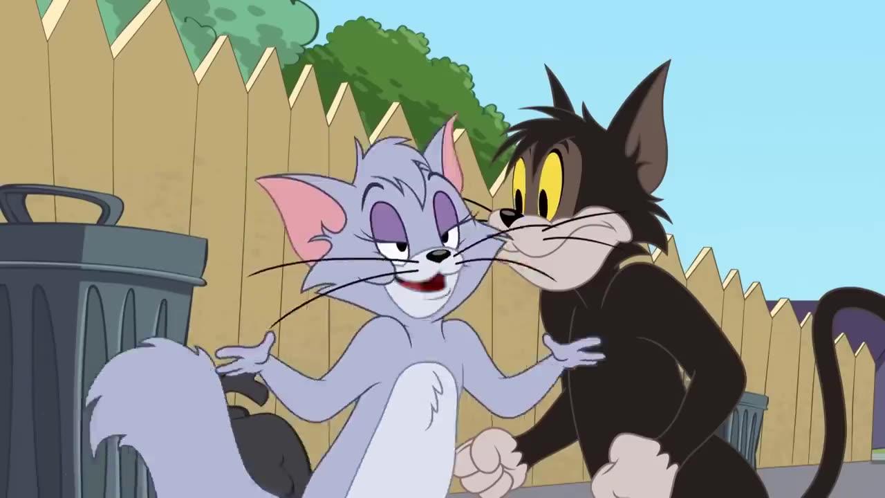 Tom and Jerry - One News Page VIDEO