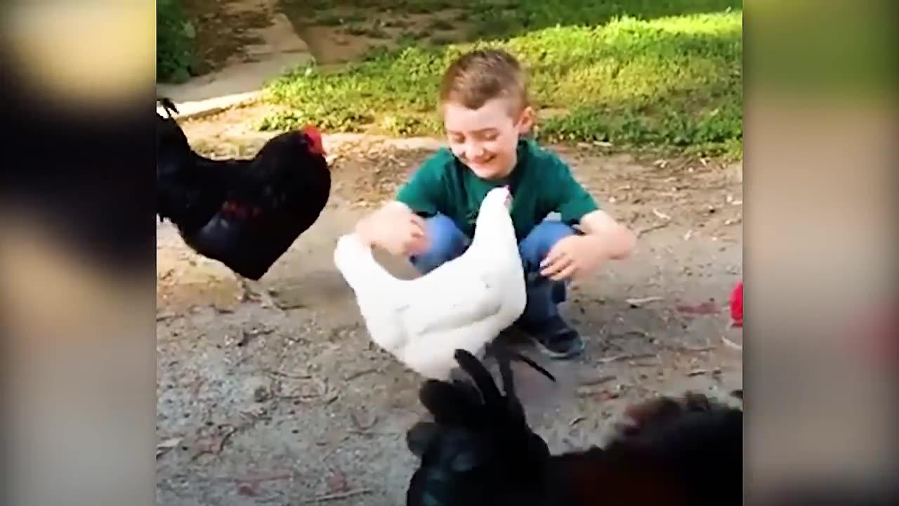 Animals Reunited With Owners After Years - One News Page VIDEO