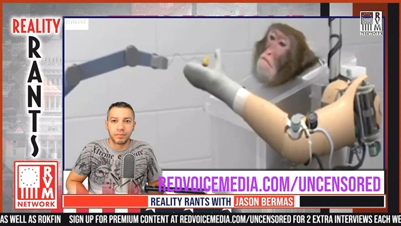 FDA Approved Human Trials For Brain Chips That - One News Page VIDEO