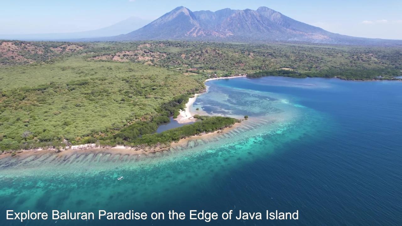 Explore Baluran Hidden Paradise on The Edge Of - One News Page VIDEO