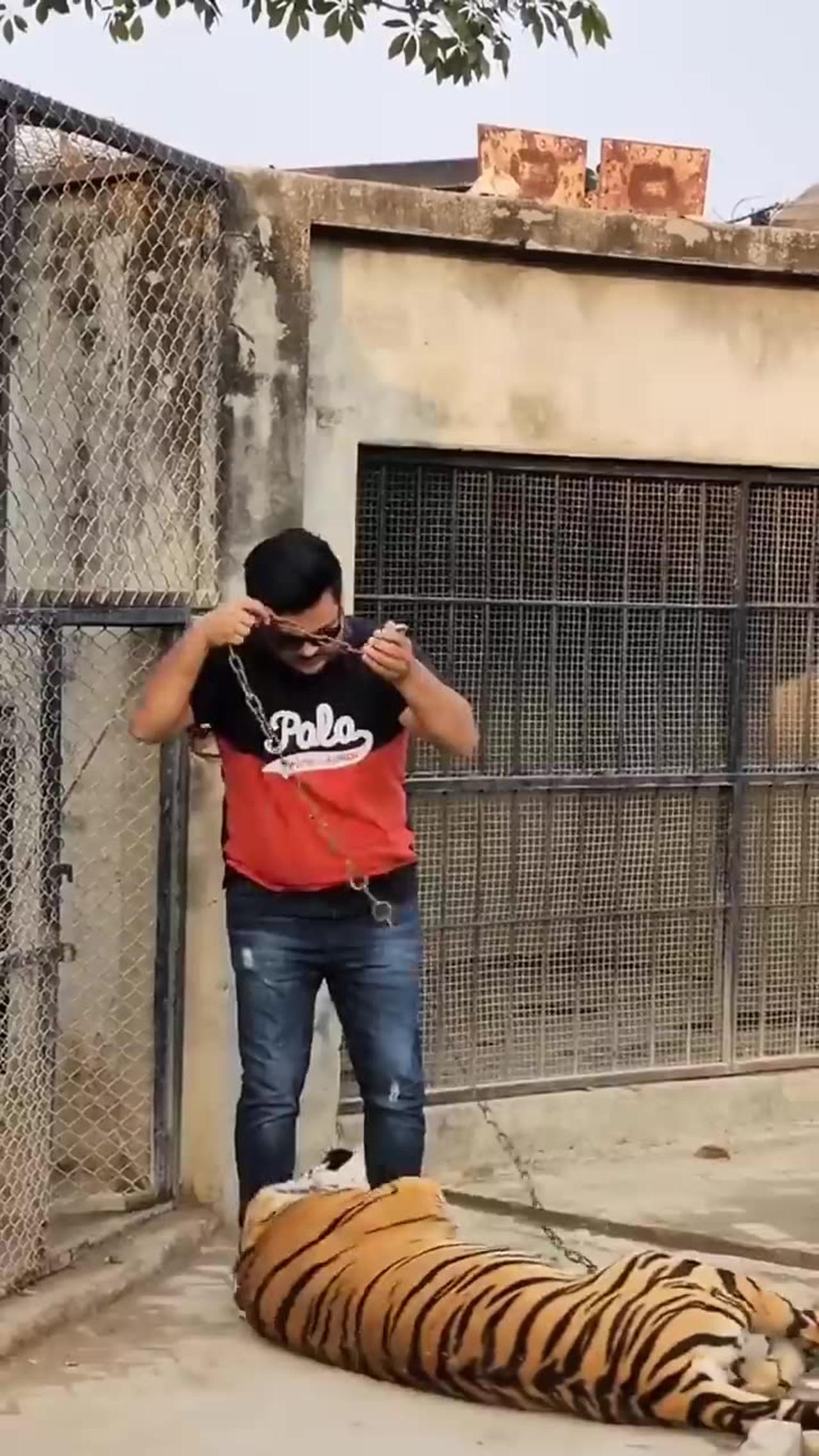 It's very difficult control for Big bangal - One News Page VIDEO