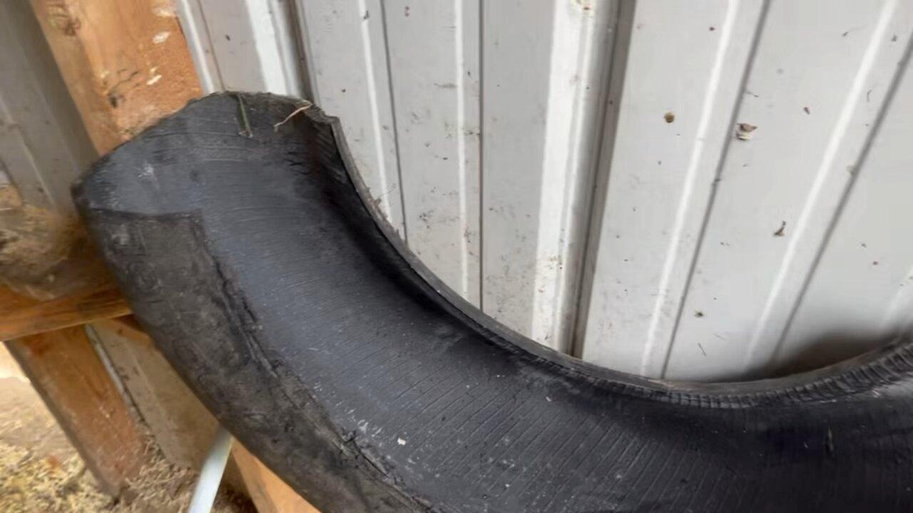 Chicken Tire Nesting Box #ChamberlinFamilyFarms - One News Page VIDEO