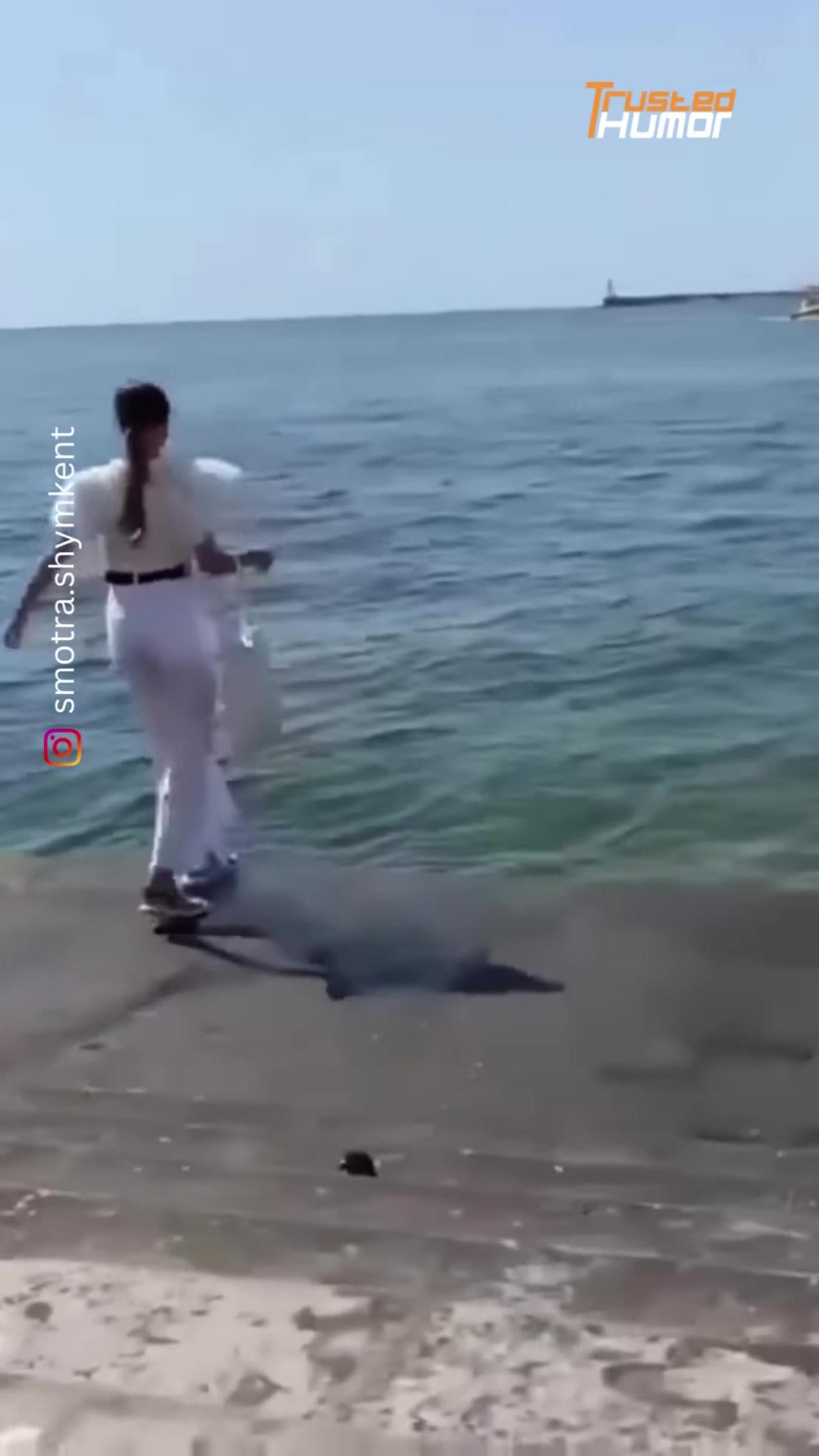 Funny moment!! #1 - One News Page VIDEO