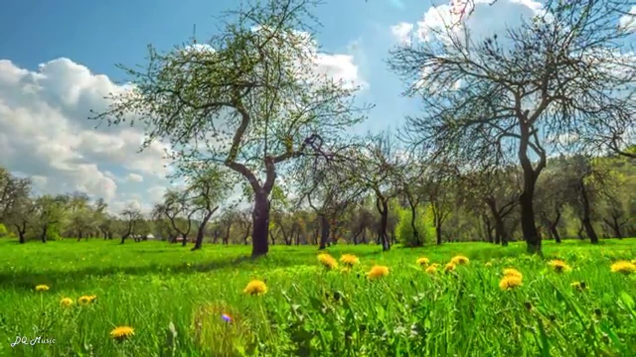 Spring season beautiful nature view - One News Page VIDEO