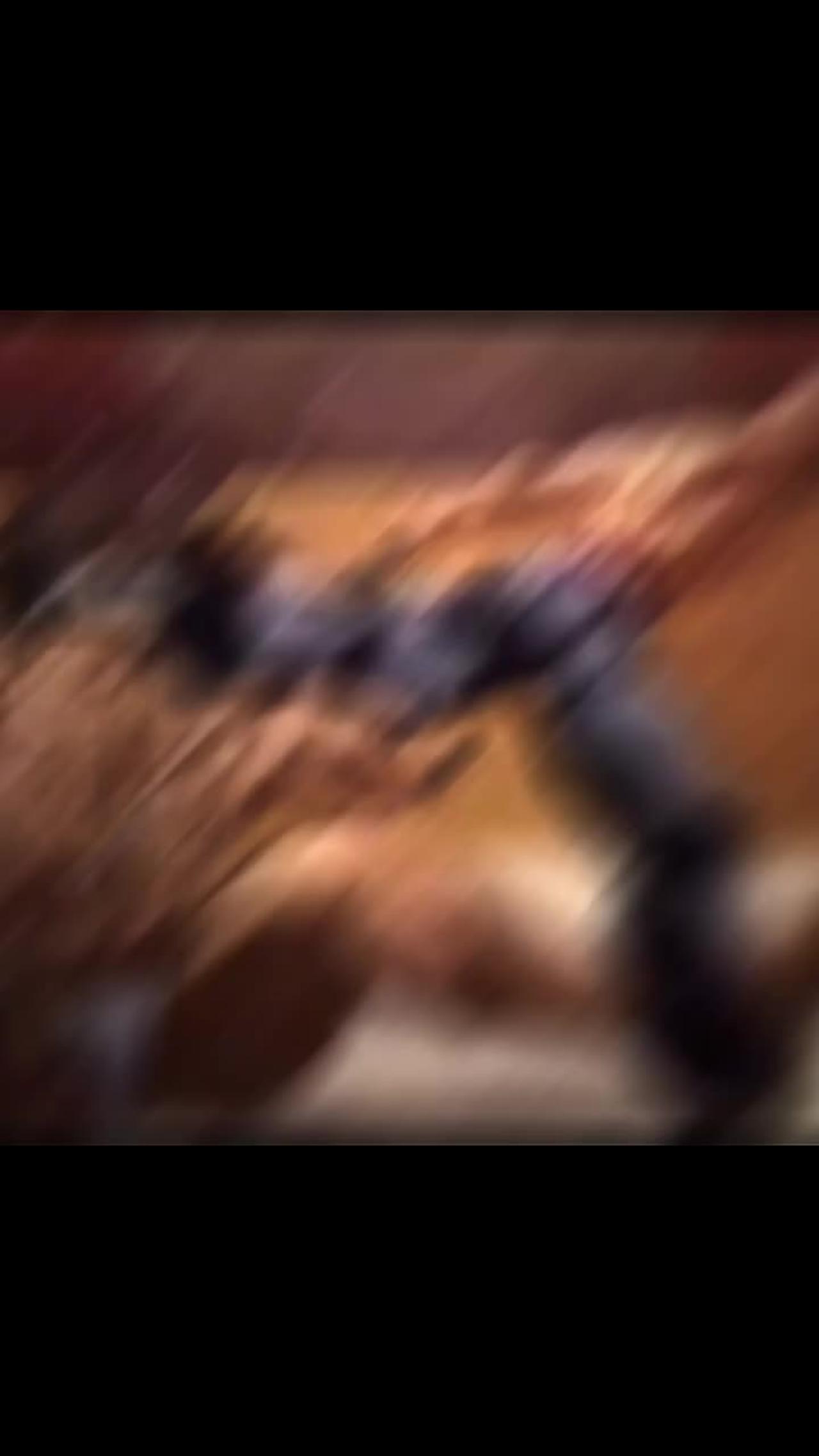 Pickle vs Sea King Retsu - One News Page VIDEO