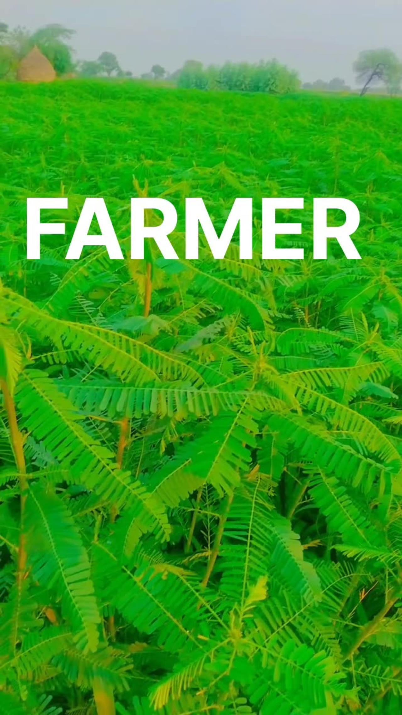 Farming WhatsApp status New - One News Page VIDEO