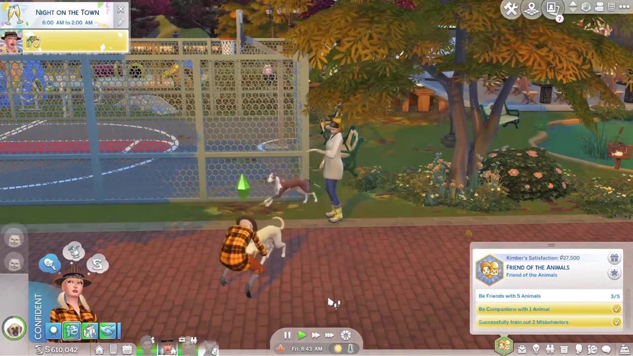 Cómo ser el mejor amigo de los animales - One News Page VIDEO