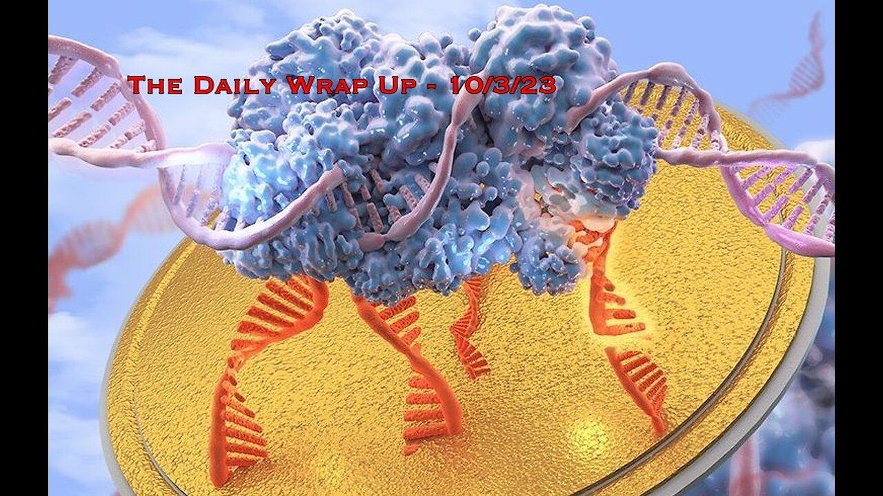 DARPA/ARPA-H REACT Program Seeking To Make Your - One News Page VIDEO