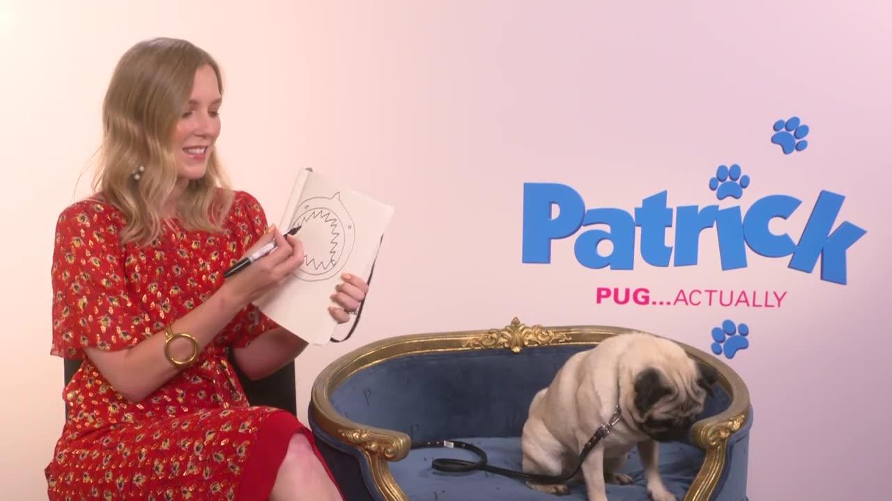 Patrick Pug’s Most Hilarious Moments - One News Page VIDEO