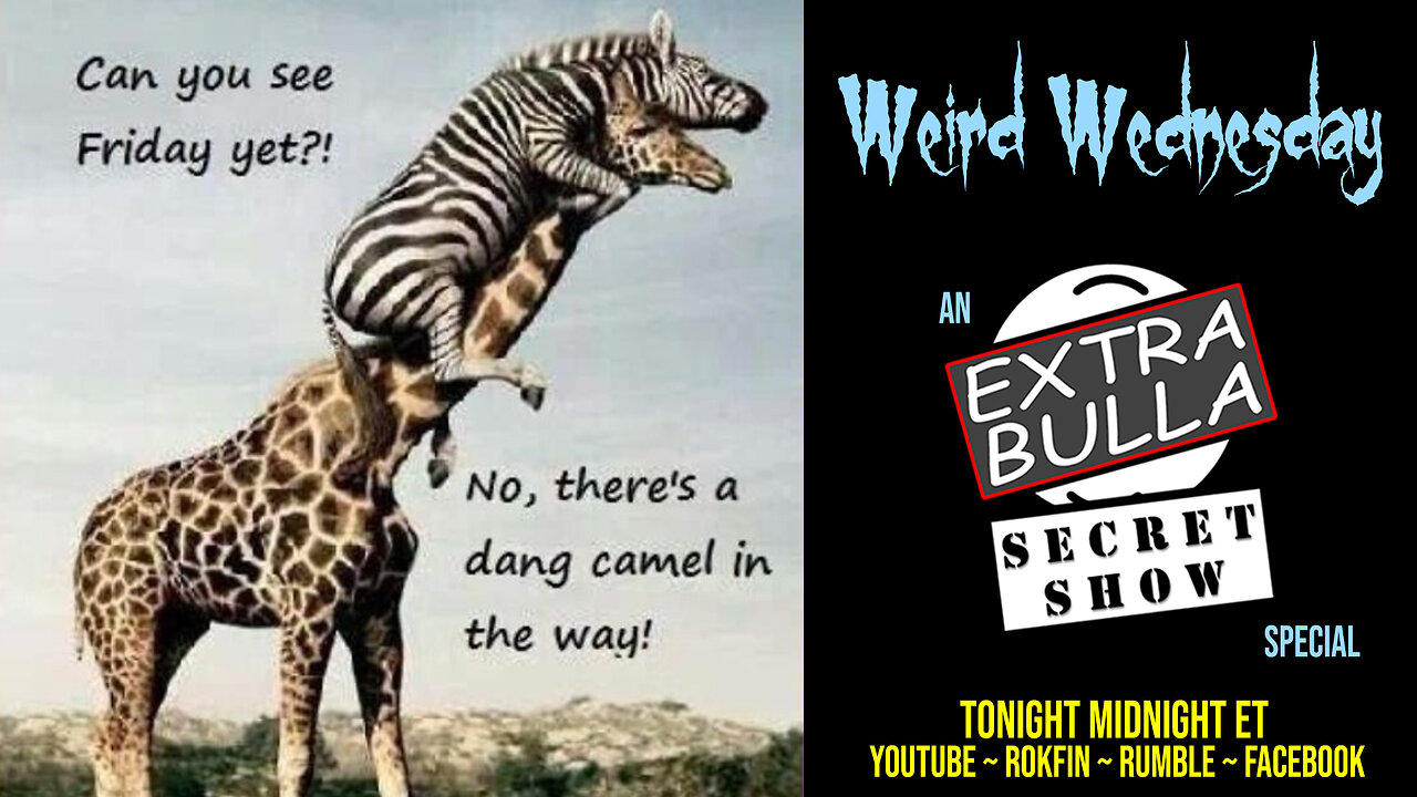 Weird Wednesday...Let's Hug It Out! - One News Page VIDEO