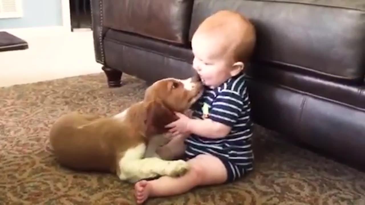 Funny Baby Videos - All Of The Cutest Thing - One News Page VIDEO