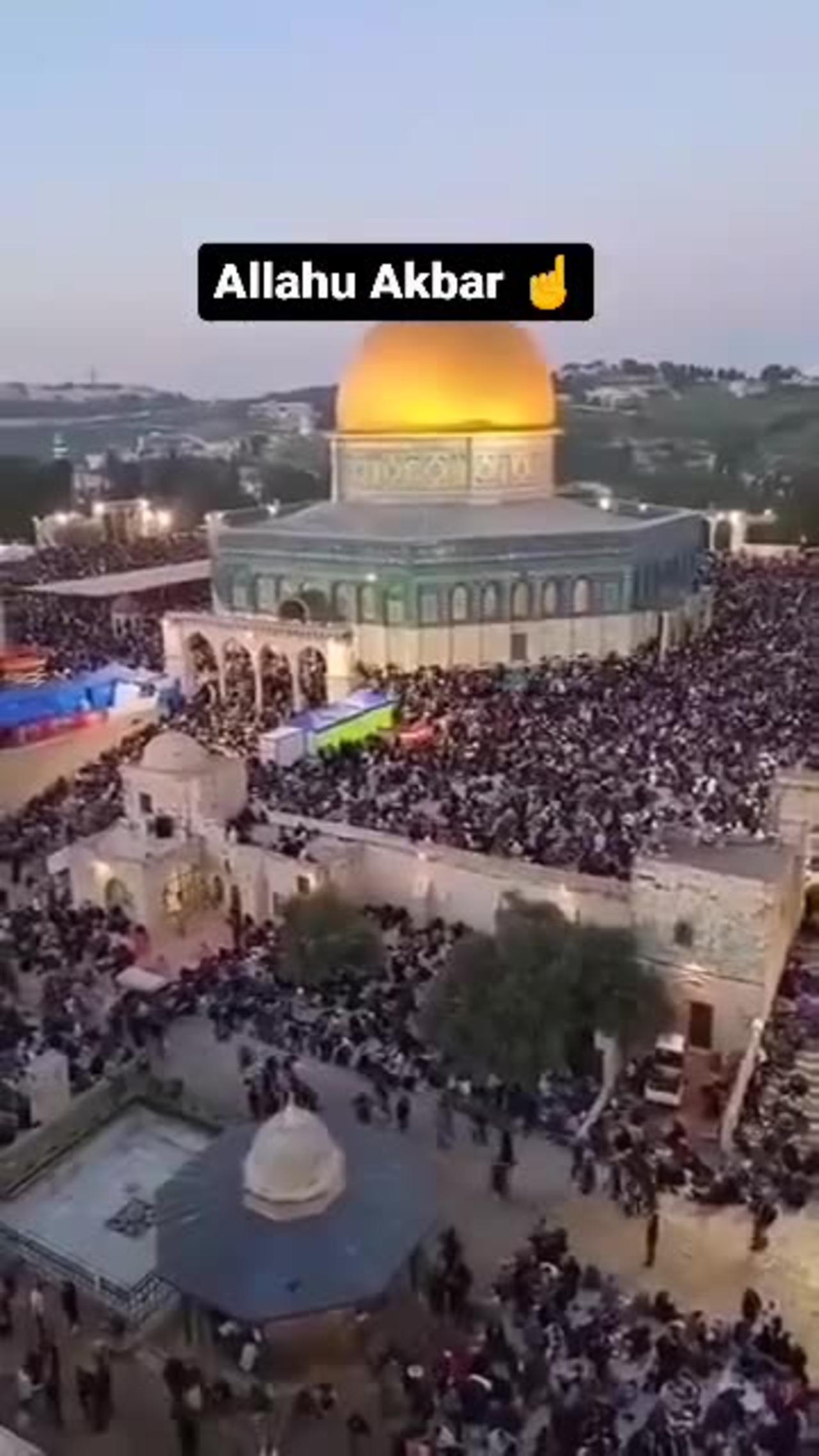 Flasteen/palsteenmuslim /israil - One News Page VIDEO