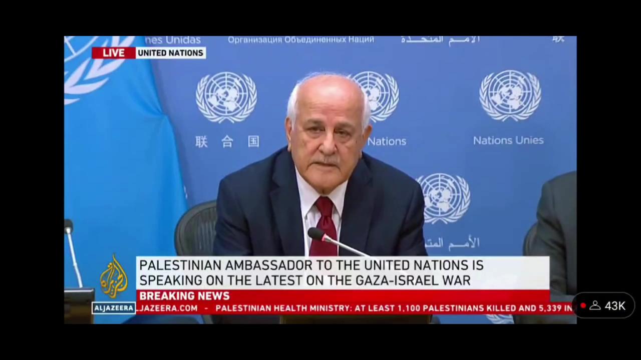 Palestinian ambassador for the United Nations - One News Page VIDEO
