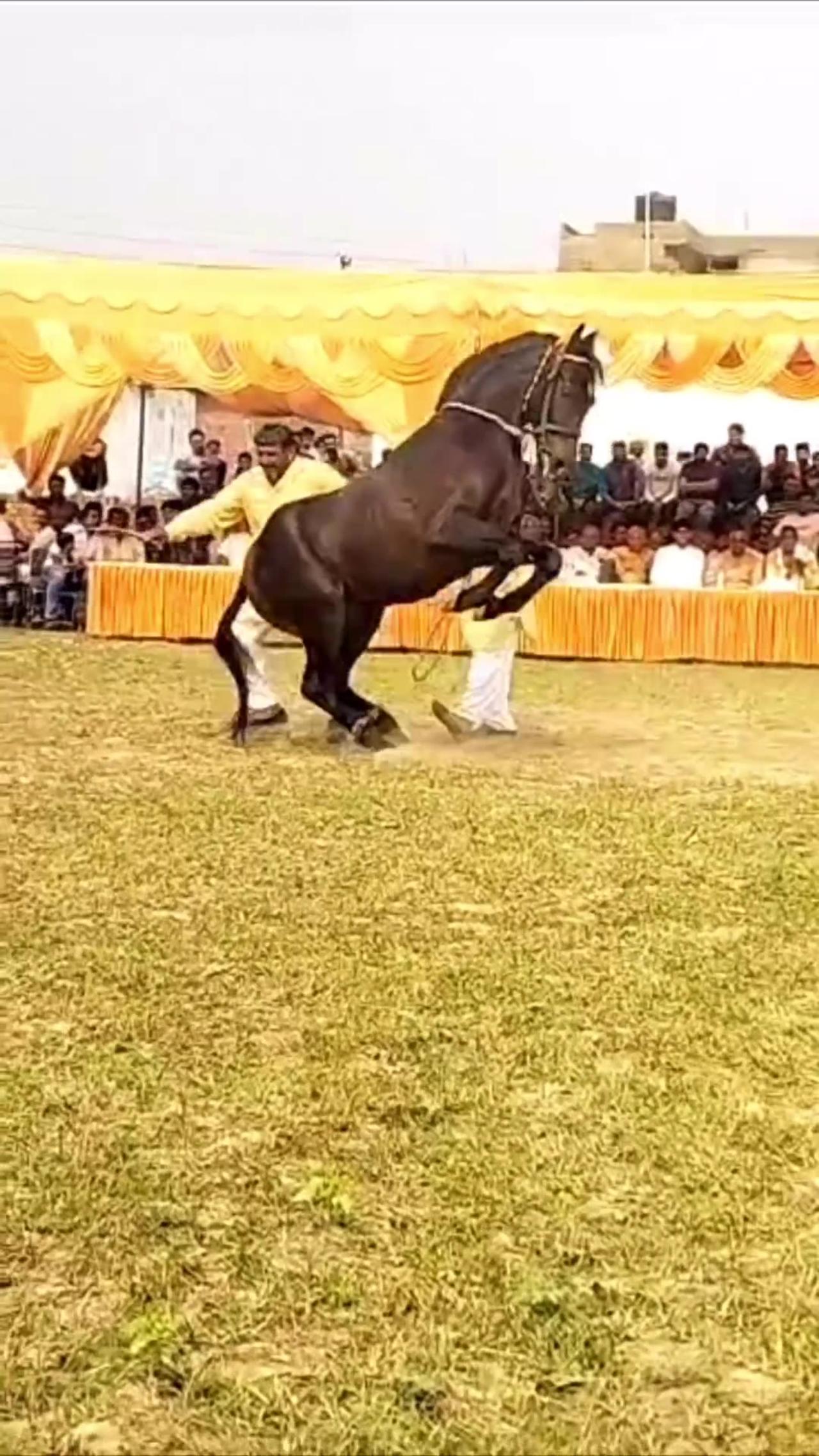 Beautiful dance hours dance/Dasing of hours with - One News Page VIDEO