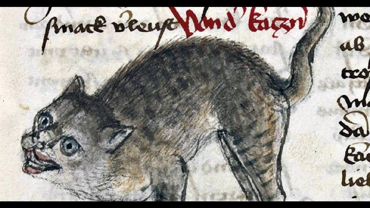 The Stalls of Barchester Cathedral by M R James. - One News Page VIDEO