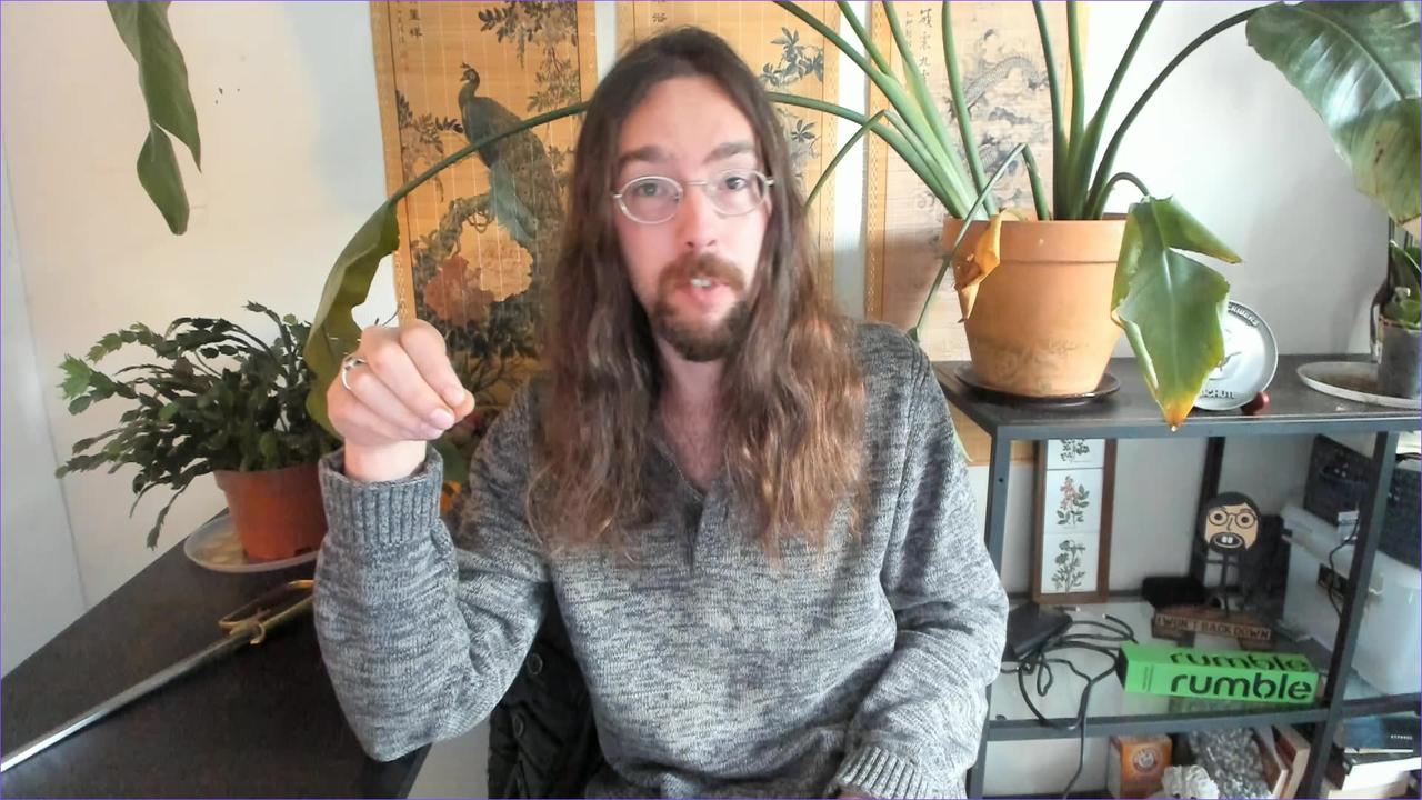 Leftoid Excuses for Kamala Harris the Loser - One News Page VIDEO