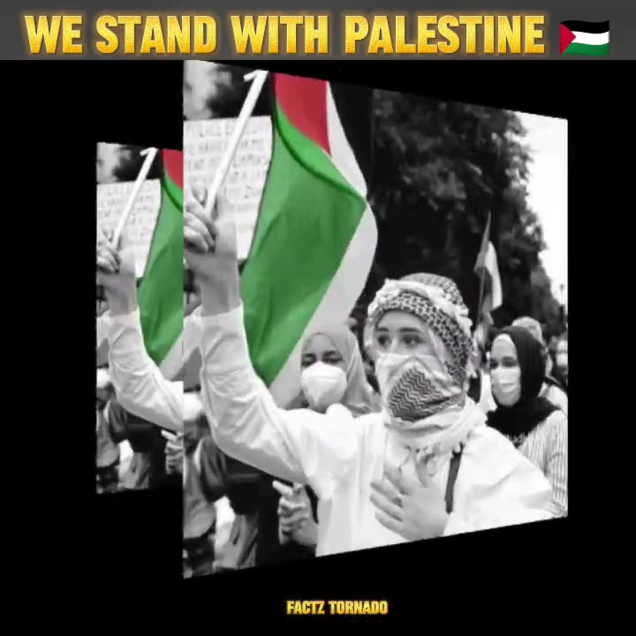We Stand With PALESTINE 🇵🇸#islam - One News Page VIDEO