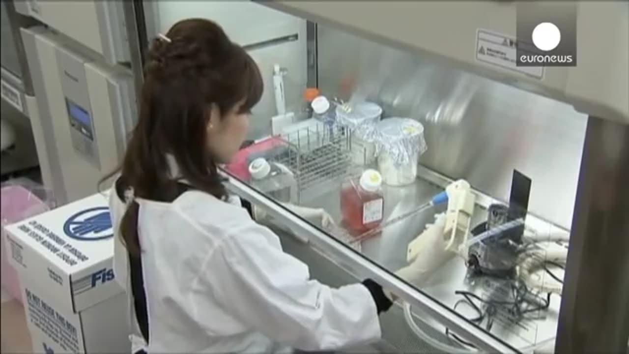 Japan irl you have see - One News Page VIDEO