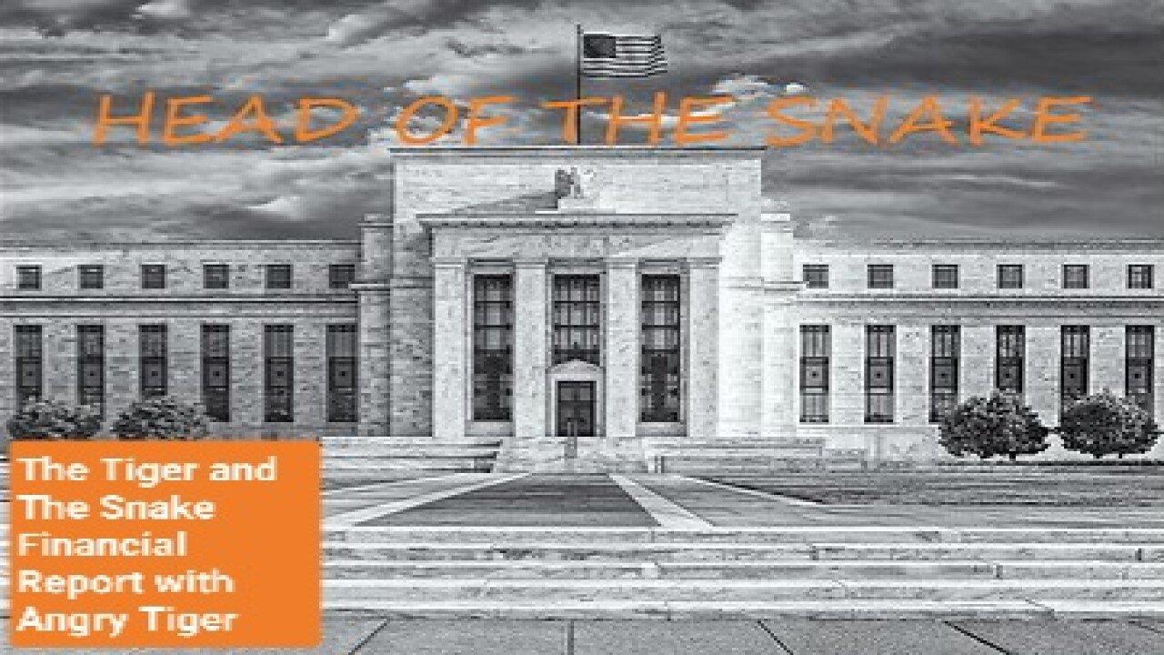 The Tiger and the Snake Financial Report - One News Page VIDEO