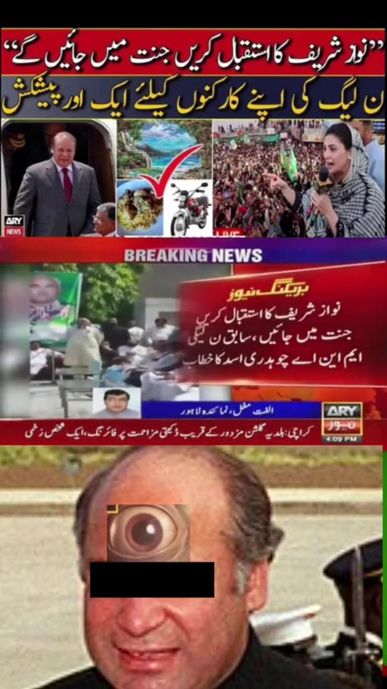 funny-news-one-news-page-video