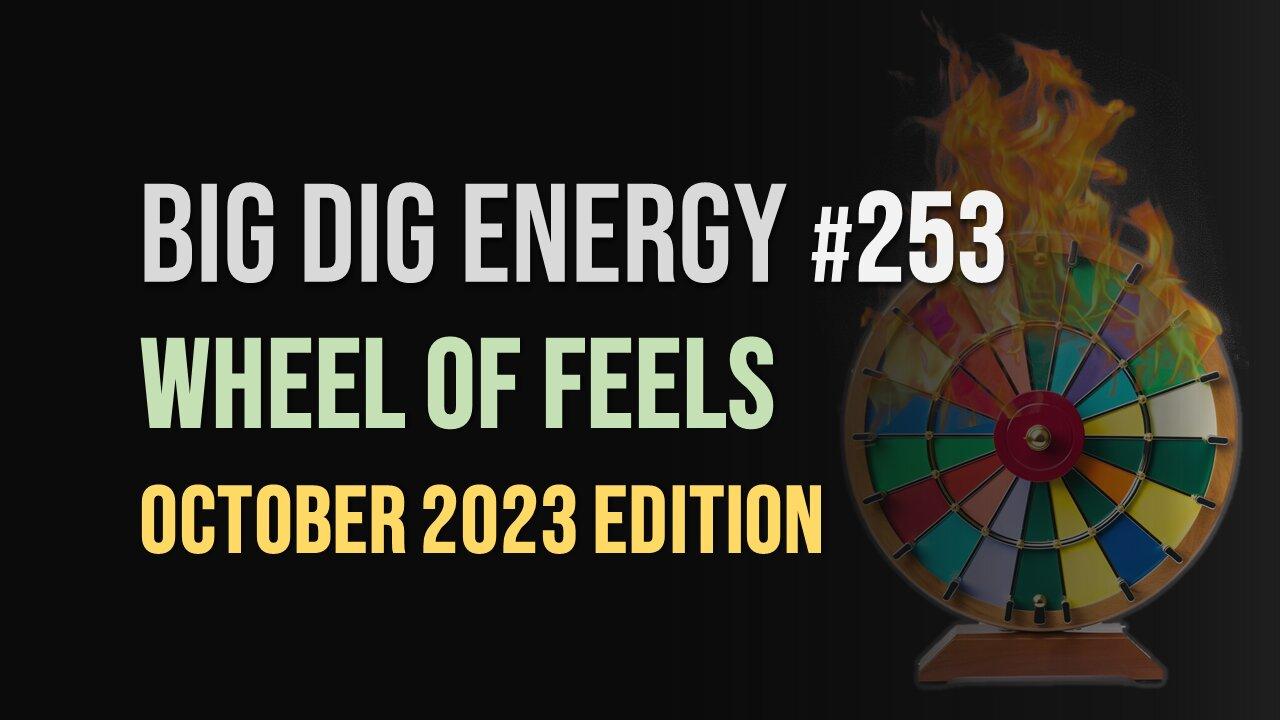 Big Dig Energy 253: Wheel of Feels - One News Page VIDEO