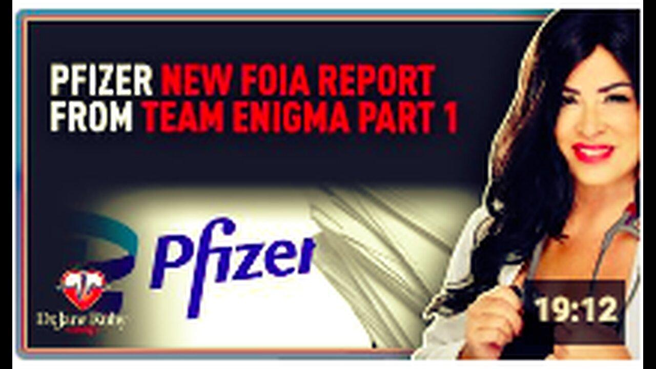 Pfizer New FOIA Reports From Team Enigma Part 1 - One News Page VIDEO