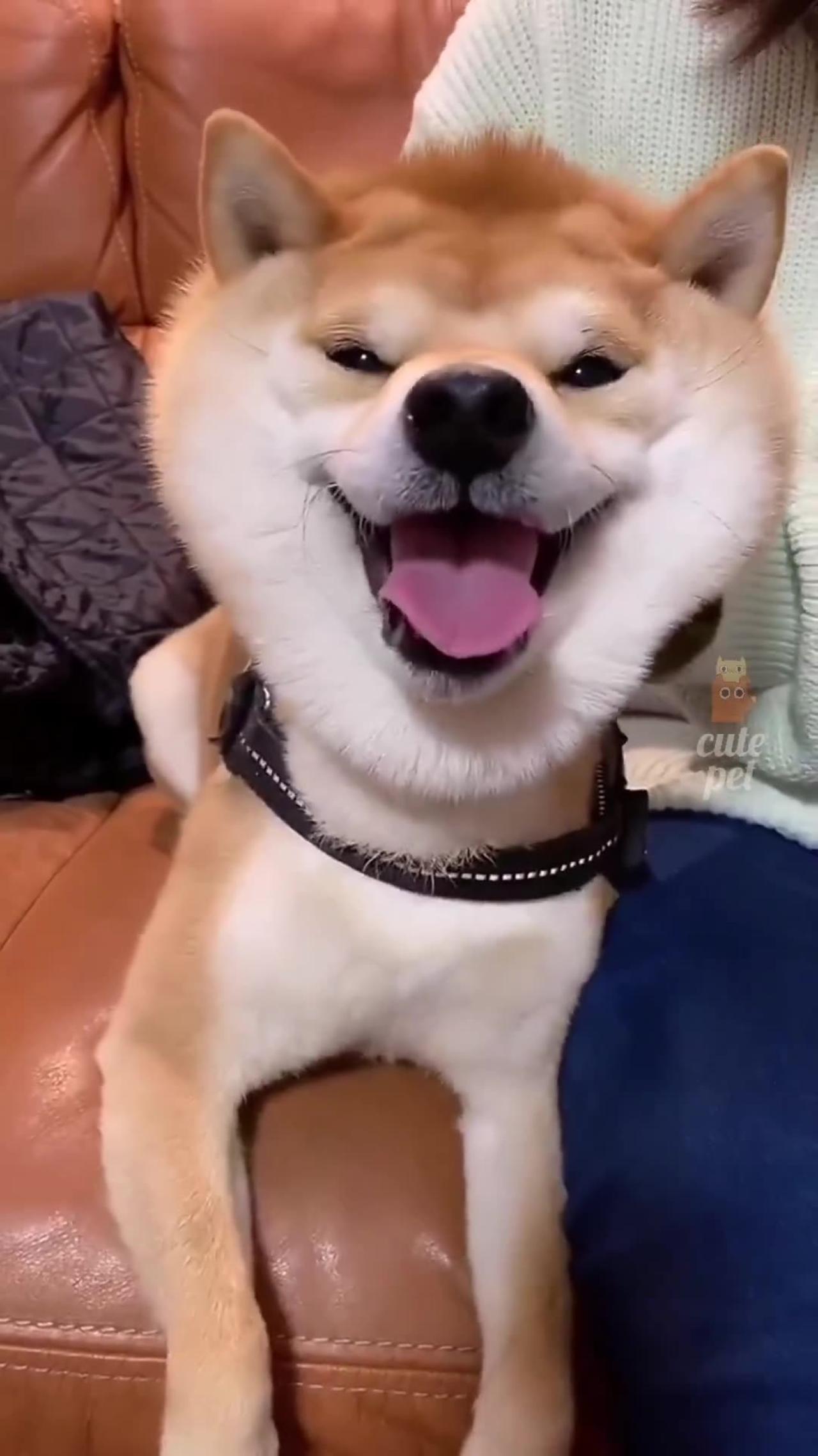 Cut pat - One News Page VIDEO