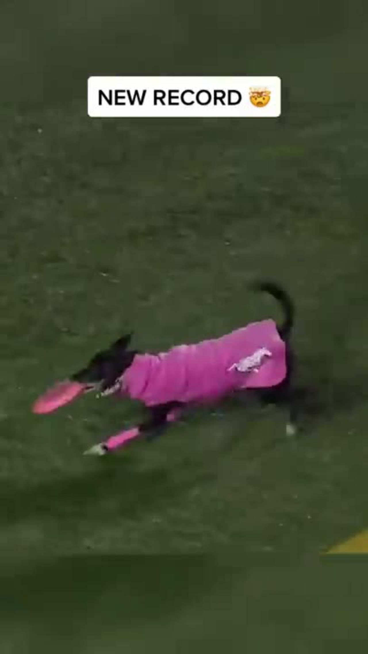 World Record of longest catch # Viral3 - One News Page VIDEO