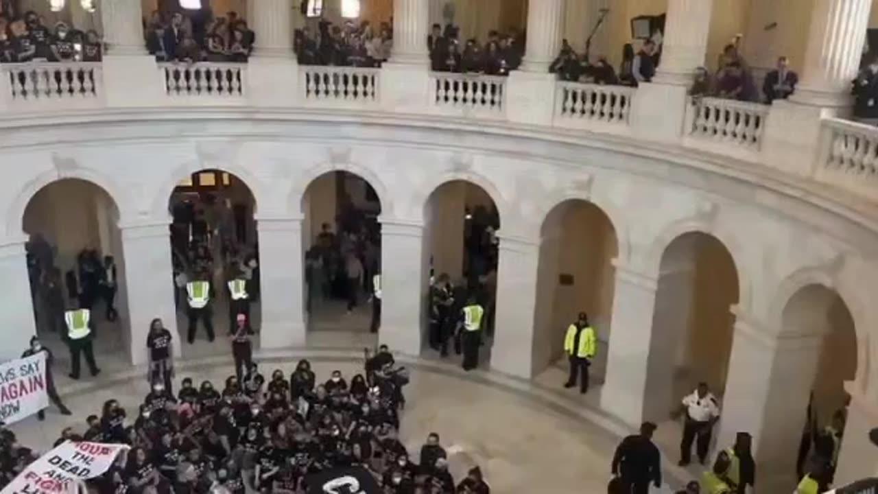 Same Ceasefire Protest Group From Cannon - One News Page VIDEO