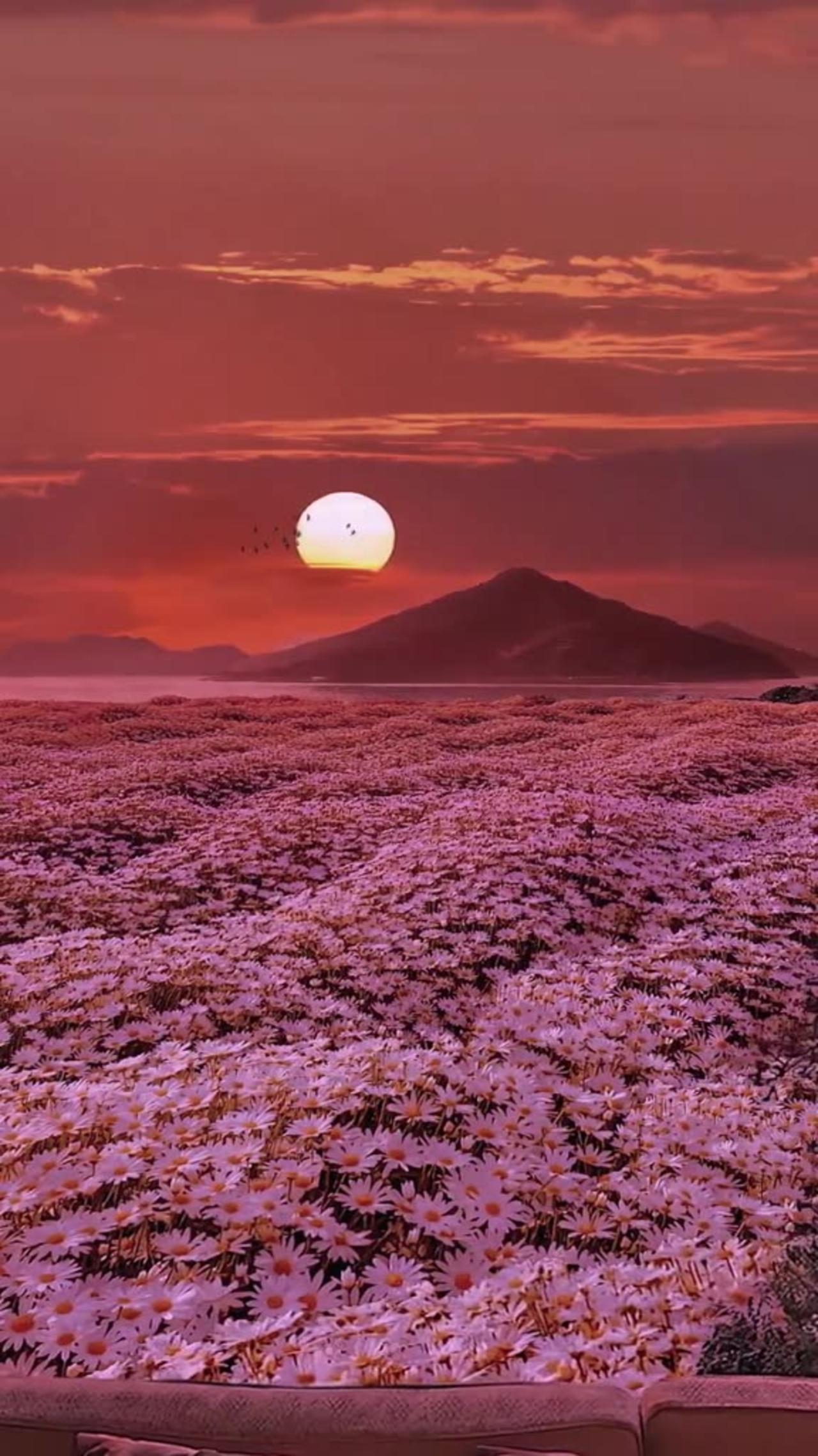 Natural Morning View - One News Page VIDEO