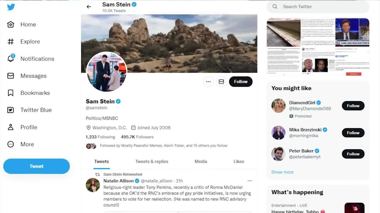 LOL: MSNBC Reporter INSANTLY Regrets This - One News Page VIDEO