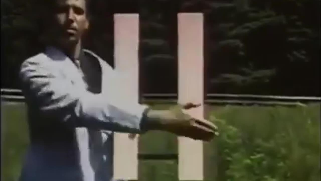 Milo Counting to 11 (1997) | Sesame Street - One News Page VIDEO