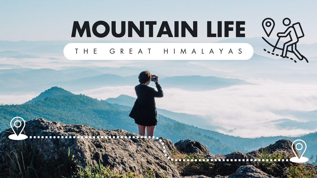 Mountain Life | No Copyright Video | Royalty - One News Page VIDEO