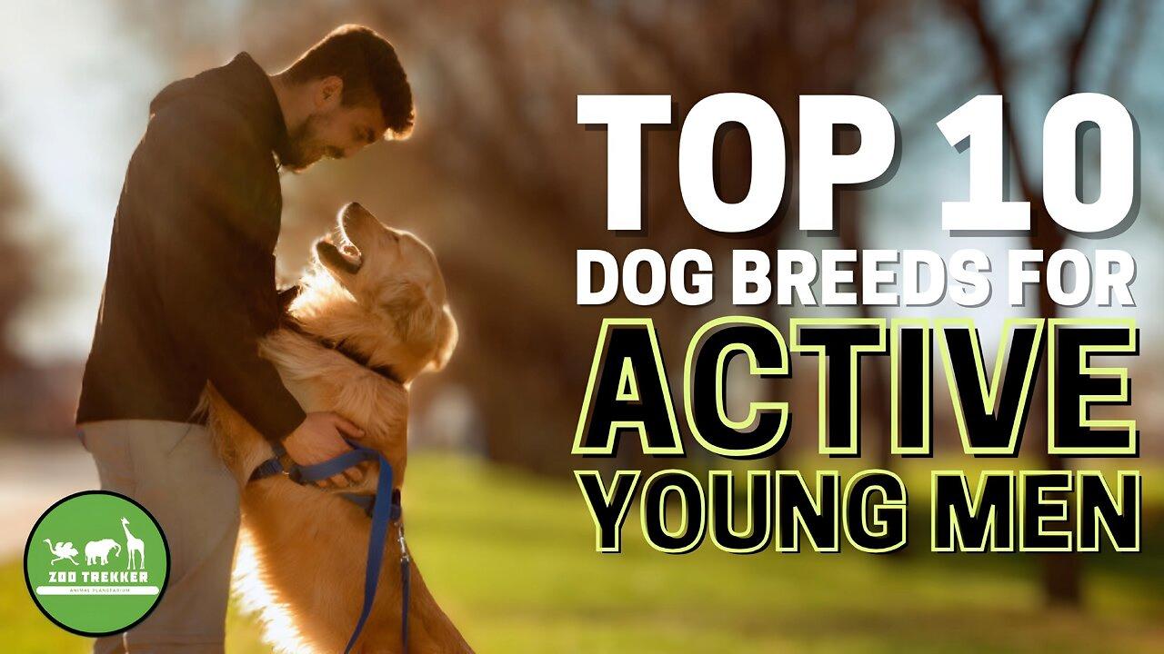 Top 10 dog breeds for young Men - One News Page VIDEO