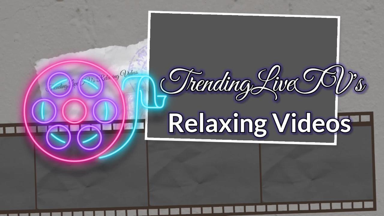 Relaxing Monday Night Live Stream - One News Page VIDEO