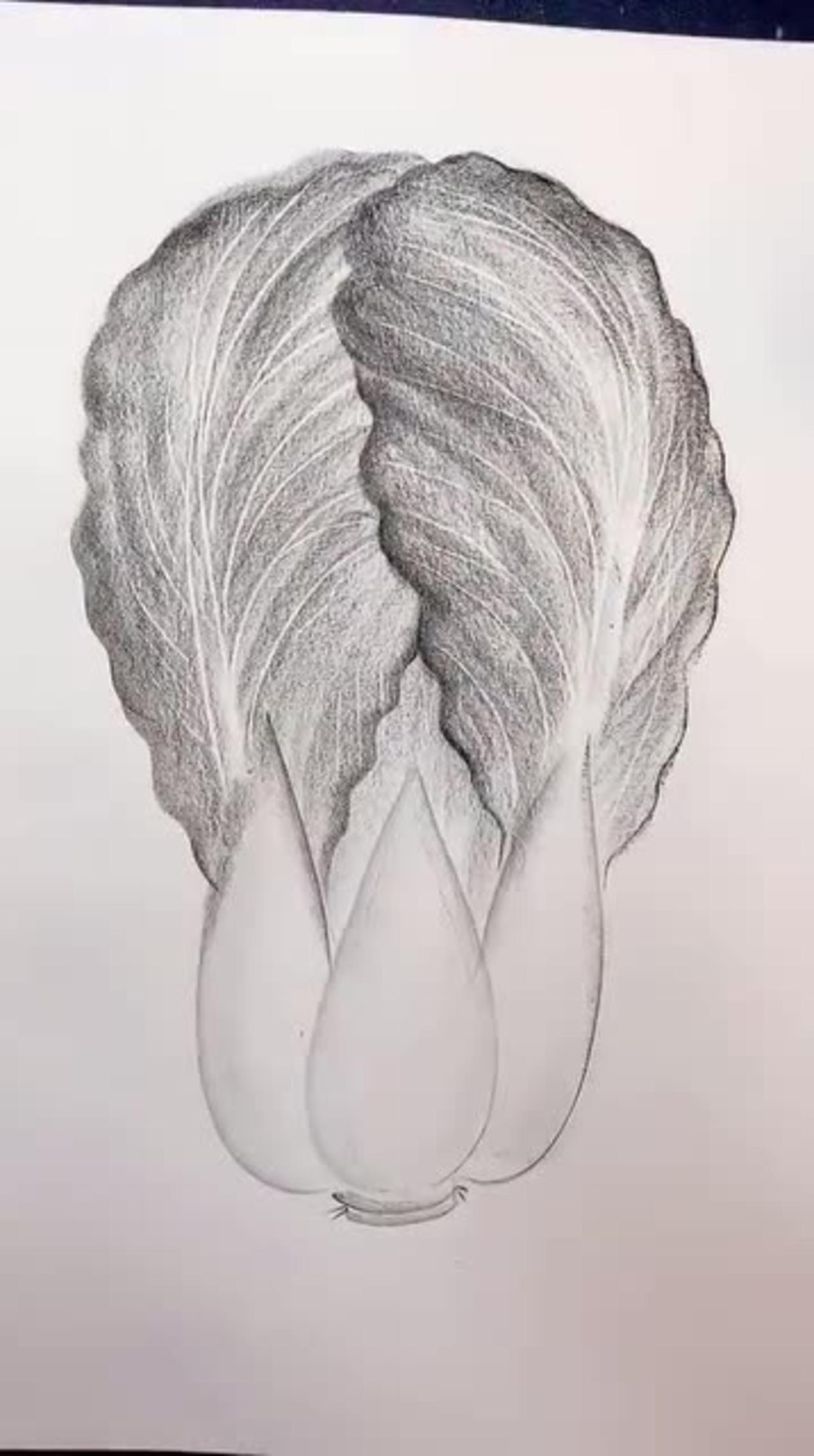 This is the pinnacle of pencil drawing art. - One News Page VIDEO