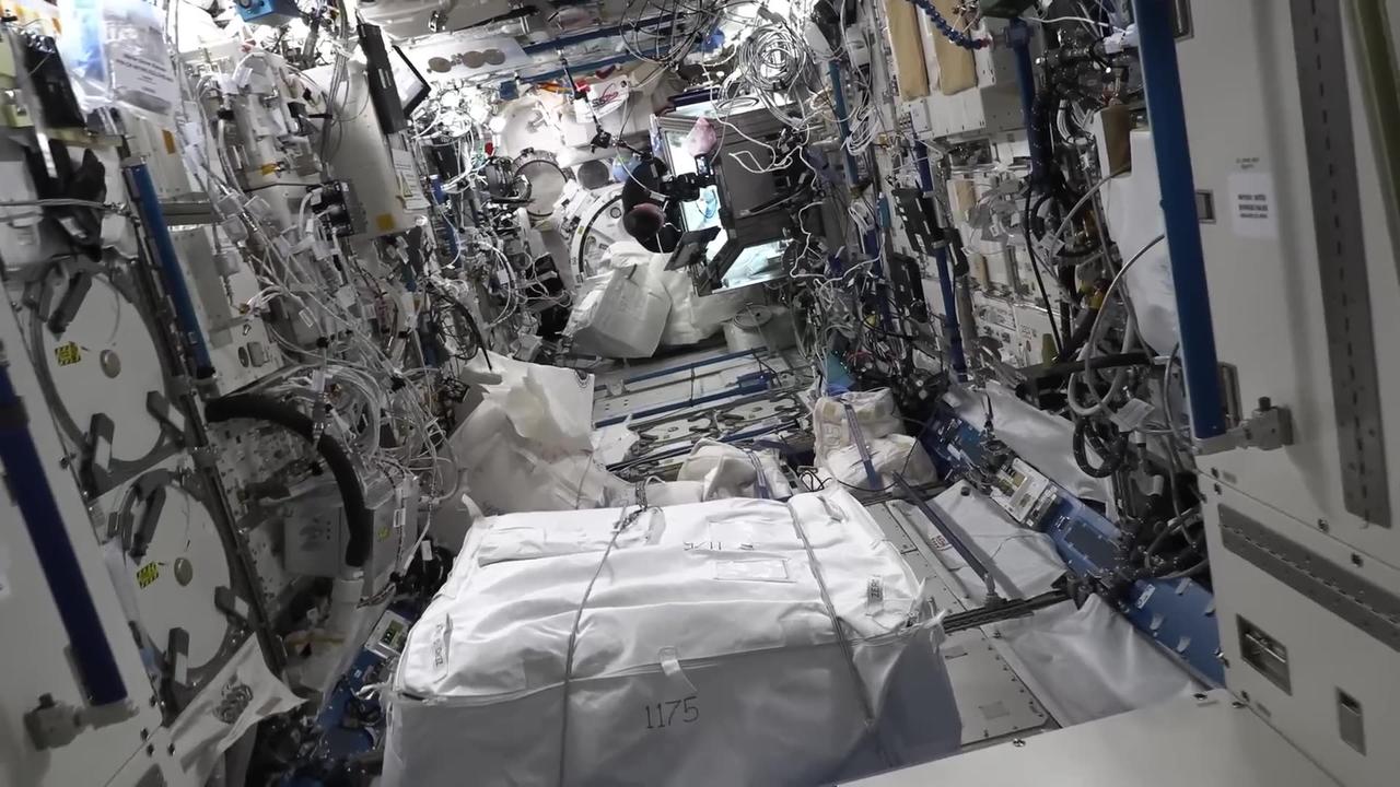 NASA's SpaceX Crew-6 Mission to the Space - One News Page VIDEO